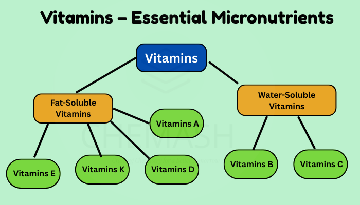vitamins-essential-micronutrients